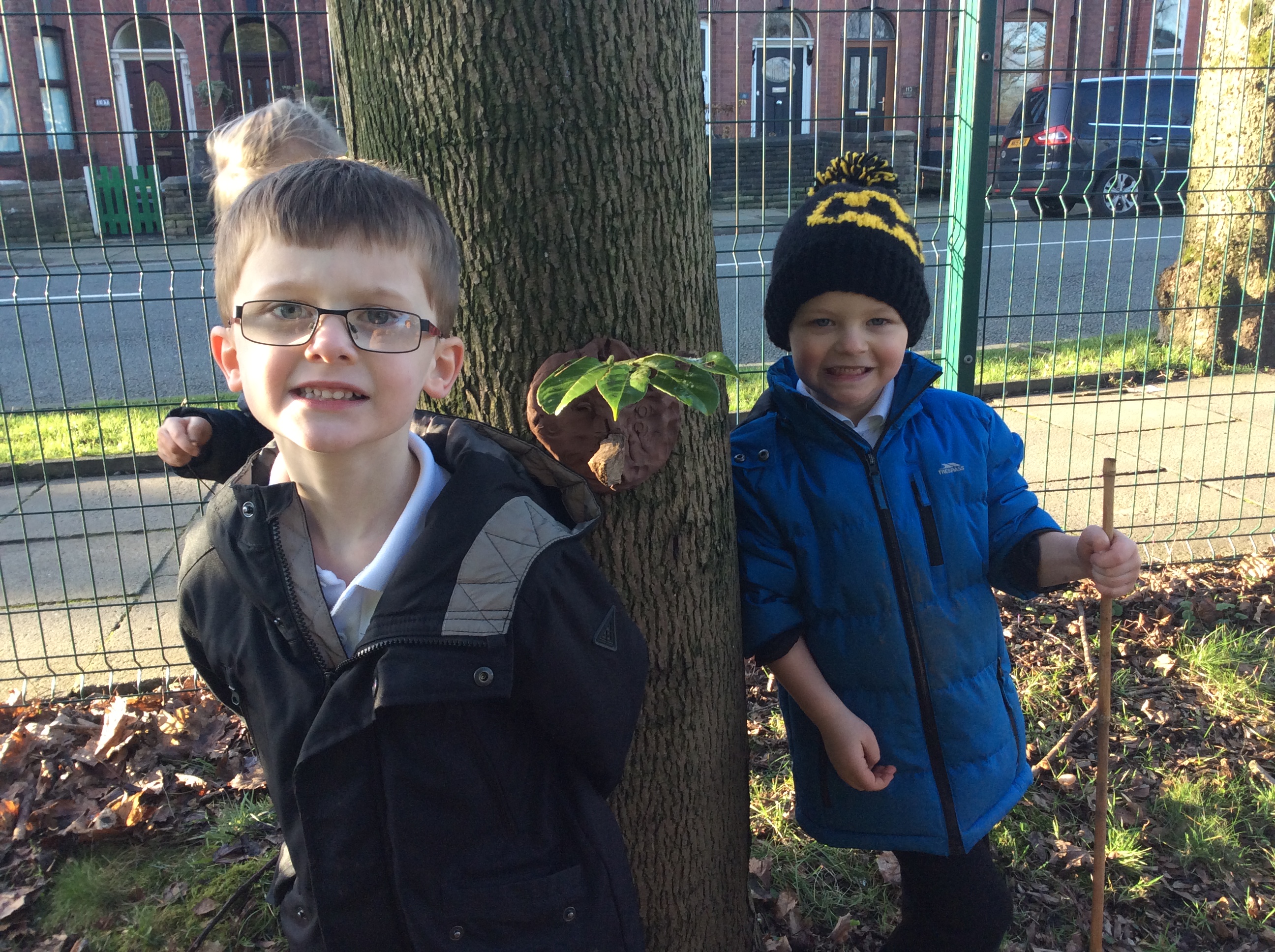 Tree Boggarts – St Luke's Blog Pages