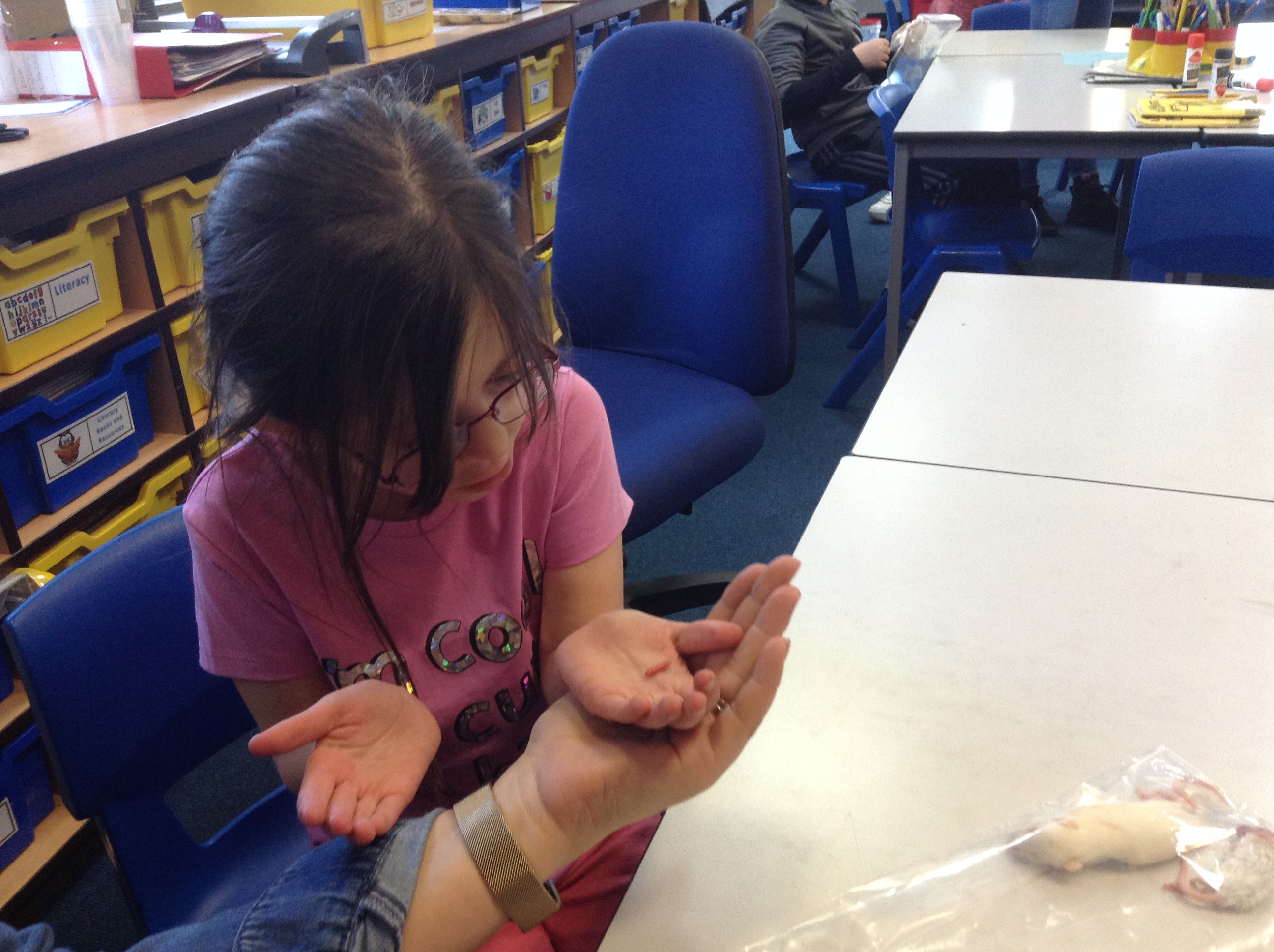 Observing Live and Dead Specimens – St Luke's Blog Pages